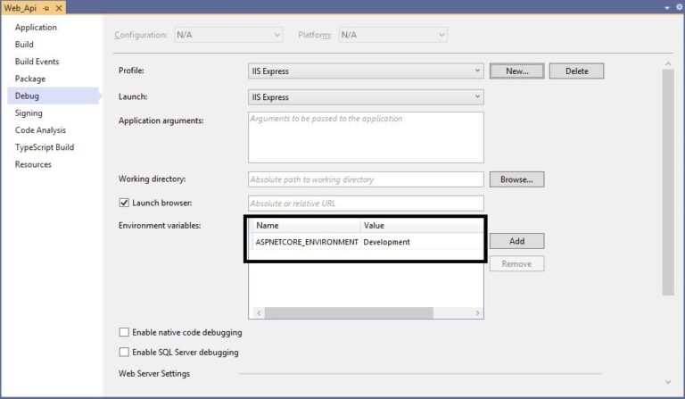 Setting Up Environment Variables In Core 3 1